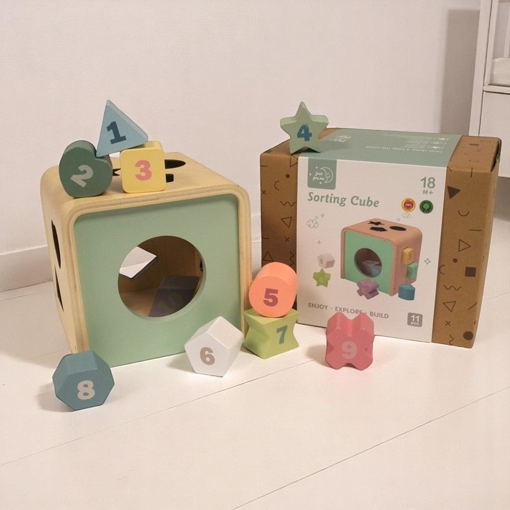 11 Piece Shape Wooden Sorting Cube – allaboutthebump